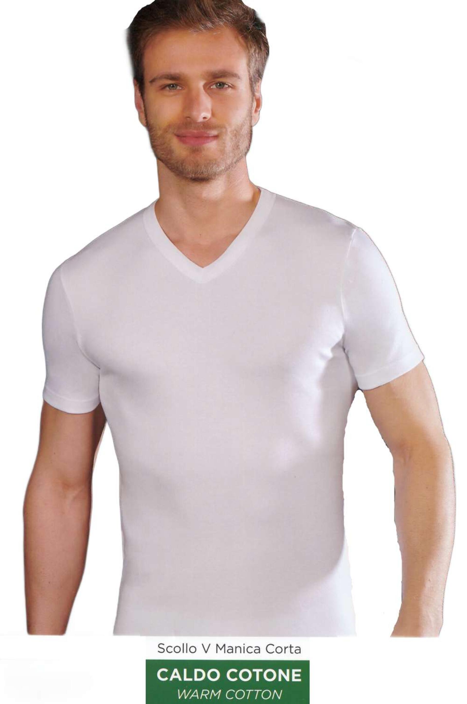 Men's V-shaped t-shirt in warm cotton Liabel 2828-53 Liabel | Quattro ...